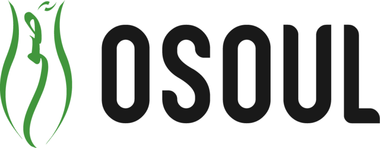 Challenges and Launches Branding Initiative - Osoul Organization